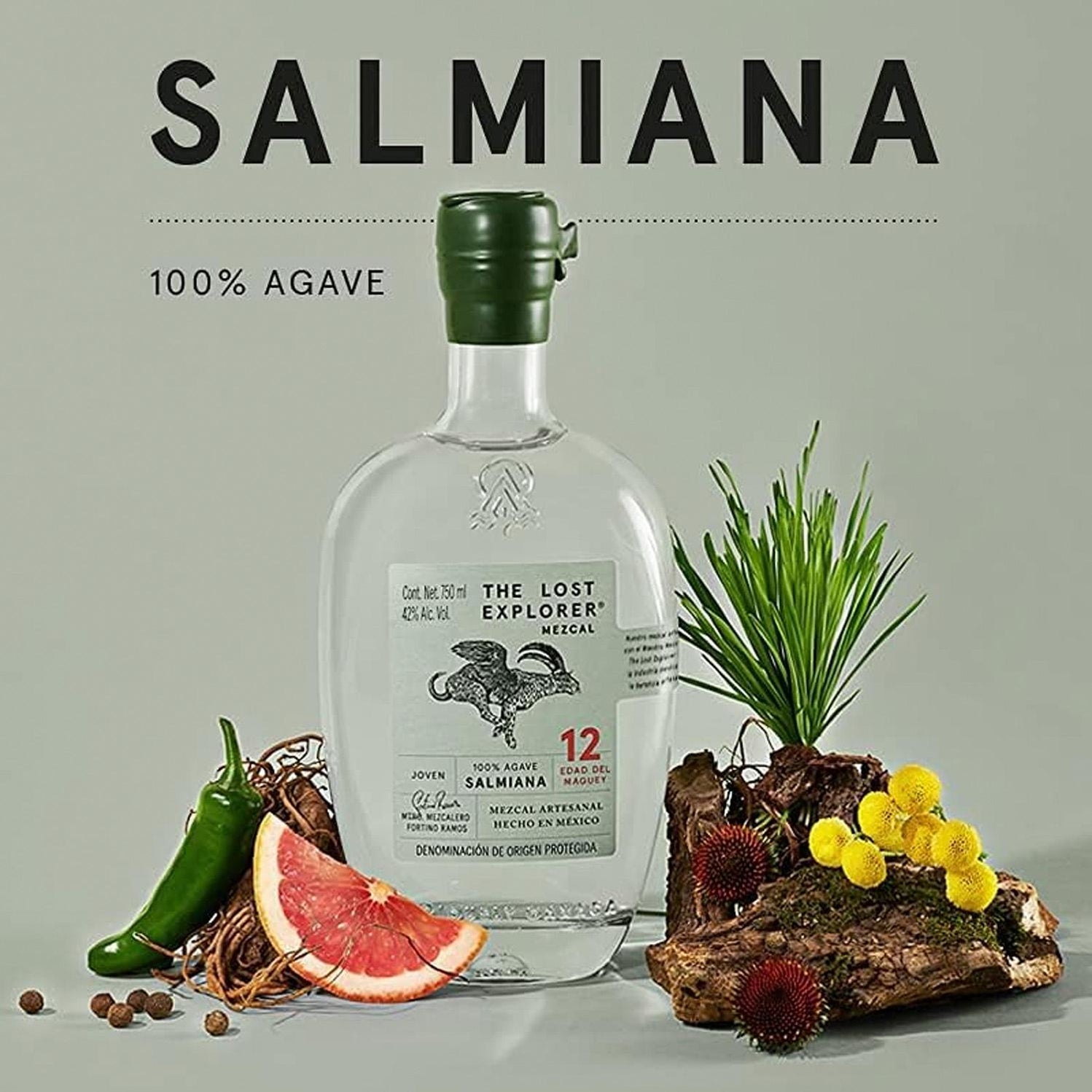 Pack de 2 Mezcal The Lost Explorer Joven Salmiana 750 ml — Mutio Store